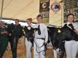 Reaseheath Celebrates Success At The Nantwich Show Reaseheath College