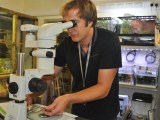 Dr Simon Maddock Microscope And Lizard Reaseheath College