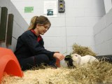 Student With Rabbits Reaseheath College