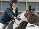 Riding Club Unaffiliated Dressage Reaseheath College