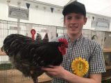 Reaseheath College Shines At Sizzling Royal Cheshire Show Reaseheath
