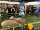 Reaseheath College Shines At Sizzling Royal Cheshire Show Reaseheath