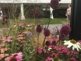 Reaseheath Lecturer Achieves Coveted Gold Medal At Rhs Tatton Park
