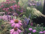 Reaseheath Lecturer Achieves Coveted Gold Medal At Rhs Tatton Park