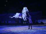 Exceptional Hoys Experience For Equine Students Reaseheath College