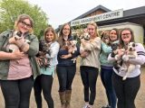 Puppies Receive First Life Lessons At Reaseheath College Reaseheath