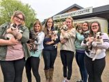 Puppies Receive First Life Lessons At Reaseheath College Reaseheath