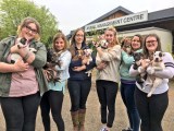 Puppies Receive First Life Lessons At Reaseheath College Reaseheath