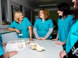 Veterinary Nursing Reaseheath College