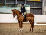 Unaffiliated Dressage Reaseheath College