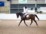 Equine Short Courses Reaseheath College