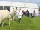 Cheshire Show 2019 10 Reaseheath College