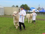 Cheshire Show 2019 9 Reaseheath College
