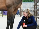 Equine Livery Packages Reaseheath College