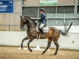 Dressage 1 Reaseheath College
