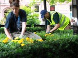 Commemorative Flower Bed Celebrates Reaseheath College S Centenary