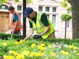 Commemorative Flower Bed Celebrates Reaseheath College S Centenary