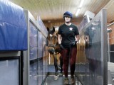 Level 3 Equine Hydrotherapy Assistants Diploma With Rookery Equine