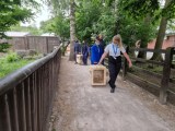 Mongooses Moving Reaseheath College