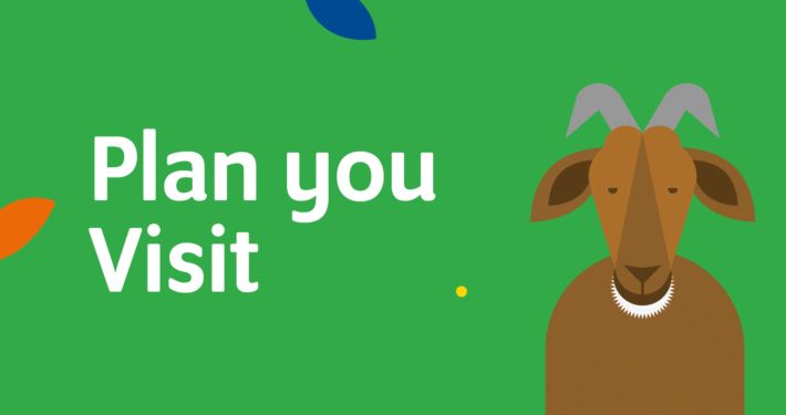 Mini Zoo Website Header Reaseheath College - Download High Quality Sunset Illustration | 8K