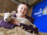Families Expected To Flock To Reaseheath S Lambing Weekends