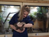 Animal Management Student With Snake Reaseheath College