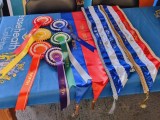Champs Sashes Reaseheath College