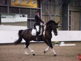 Dressage 1 1 Reaseheath College
