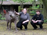What It S Like To Study Animal Management At Reaseheath By Niamh Hearty