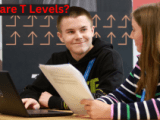 What Are T Levels Reaseheath College