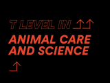 Animal Care And Science T Level Reaseheath College