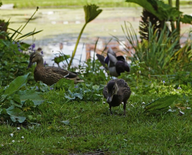 Adult Courses Reaseheath College - Geometric Image Collection - Full HD Quality