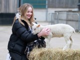 Change Of Date For Popular Reaseheath Lambing Event Reaseheath College