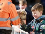 Lambing Reaseheath College