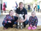 Lambing Reaseheath College