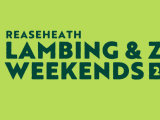 Lambing Zoo Weekends2026 March Reaseheath College
