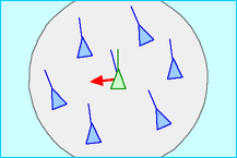 Flocking behavior, swarm models, and art | Seeing Complexity