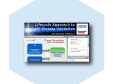 Lifecycle Api Process Validation Video Regis Technologies