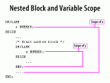 Pl Sql Variables Scope Within Nested Blocks