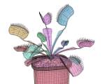 Venus Flytrap 3d Model By Blenduffo