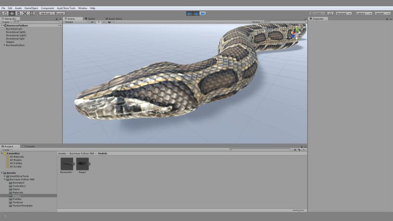 Animated Burmese Python 3d Model By Dibia Digital - Sunset Wallpaper Collection - 8K Quality