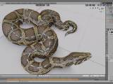 Animated Burmese Python 3d Model By Dibia Digital