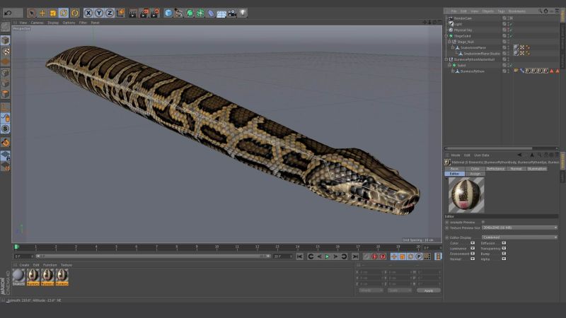 Animated Burmese Python 3d Model By Dibia Digital - High Quality Vintage Photo - 4K