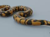Python Snake 3d Model By Sathak