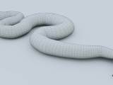 Python Snake 3d Model By Sathak