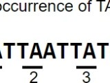 Python Count Function For Strings