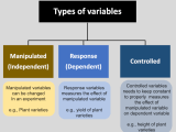 Controlled Variable Examples What Are Control Variables It S