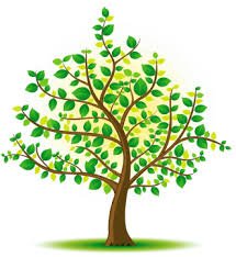 Becoming A Tree (In The Afterlife) - Resources For Life