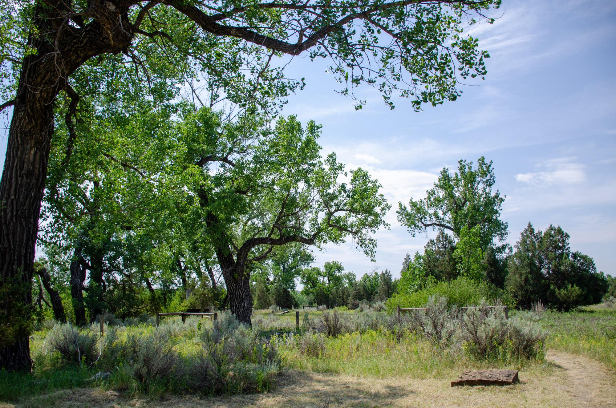 Elkhorn Ranch Unit – Theodore Roosevelt National Park - Right Kind Of Lost