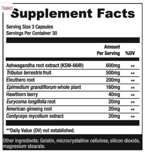 Test Boost Review: Is It Worth Your Money & Time?